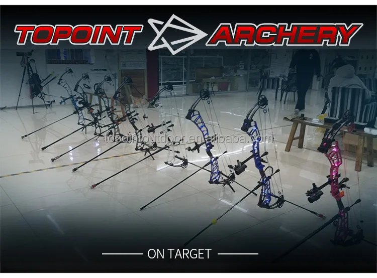 TOPPOINT ARCHERY Reliance 36 Target Compound Bow with CNC Riser, Gordon ...