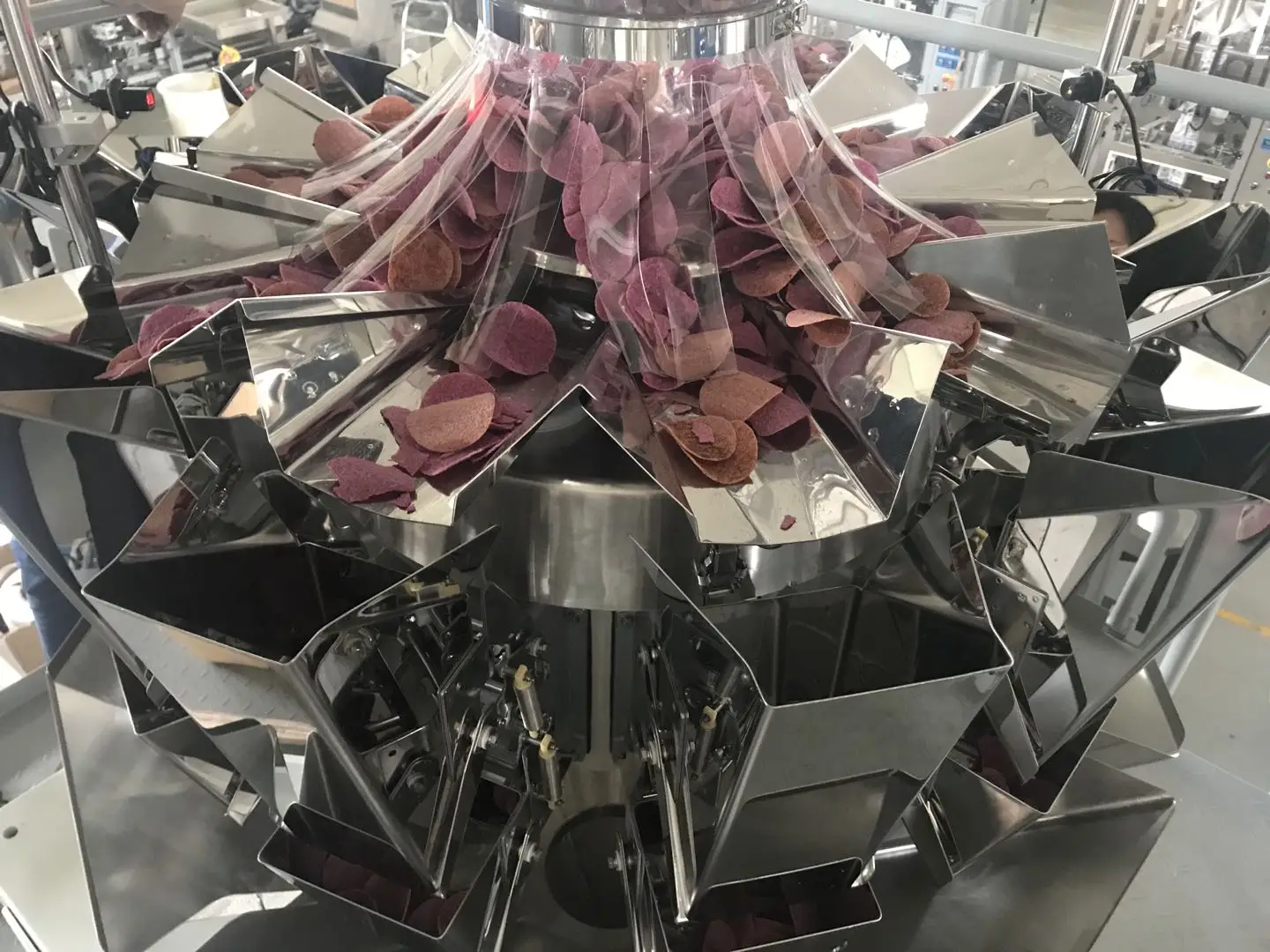 Dried Fish & Shredded Squid Snack Packaging Solutions