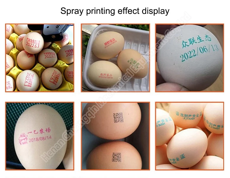 Egg logo Printer Egg Marking Machine Chicken Egg Printing Machine ...