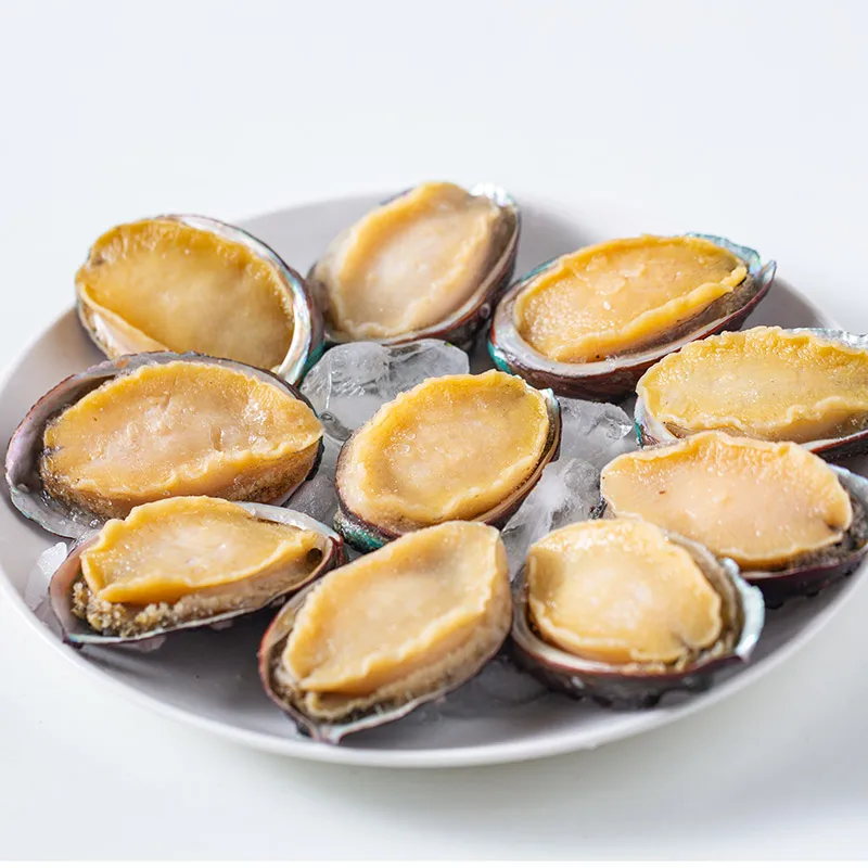 Wholesale Frozen Live Abalone Meat Frozen Polished Abalone In Shell And ...