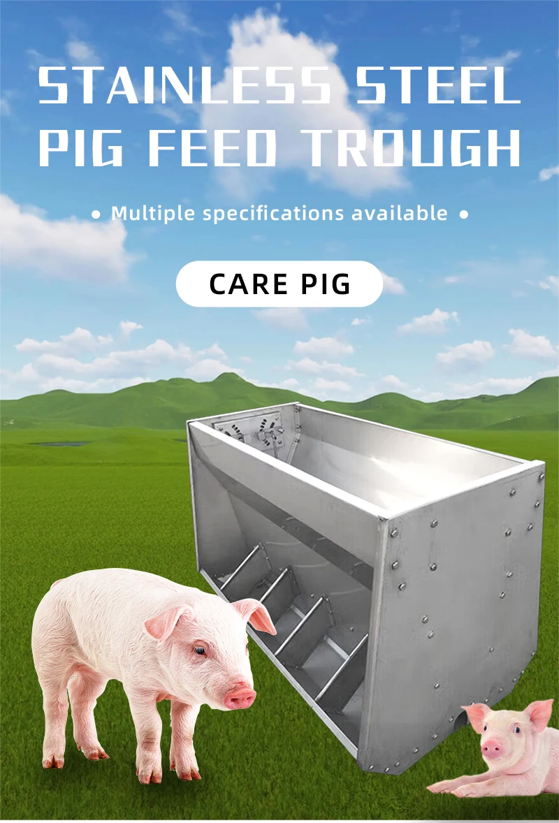 Stainless Steel Pig Farm Feeding System - Durable & Efficient
