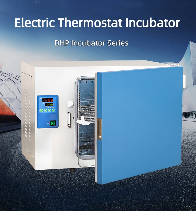 Laboratory Small Microbiology Bacteria Incubator - DHP Series