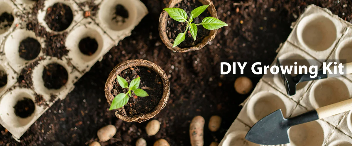 Indoor Herb Garden Starter Kit 10 Gardening Plantable Pack With Plant ...