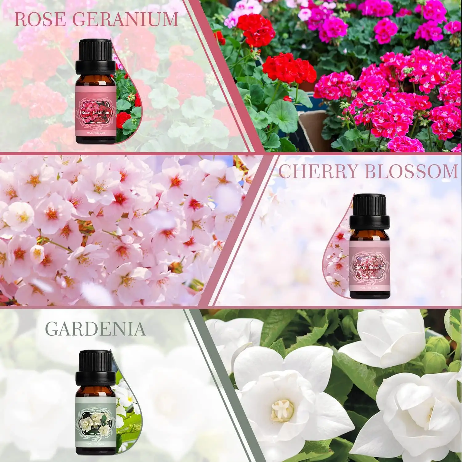 Four Seasons Essential Oil Gift Set Mint Orange Essential Oils Spring ...