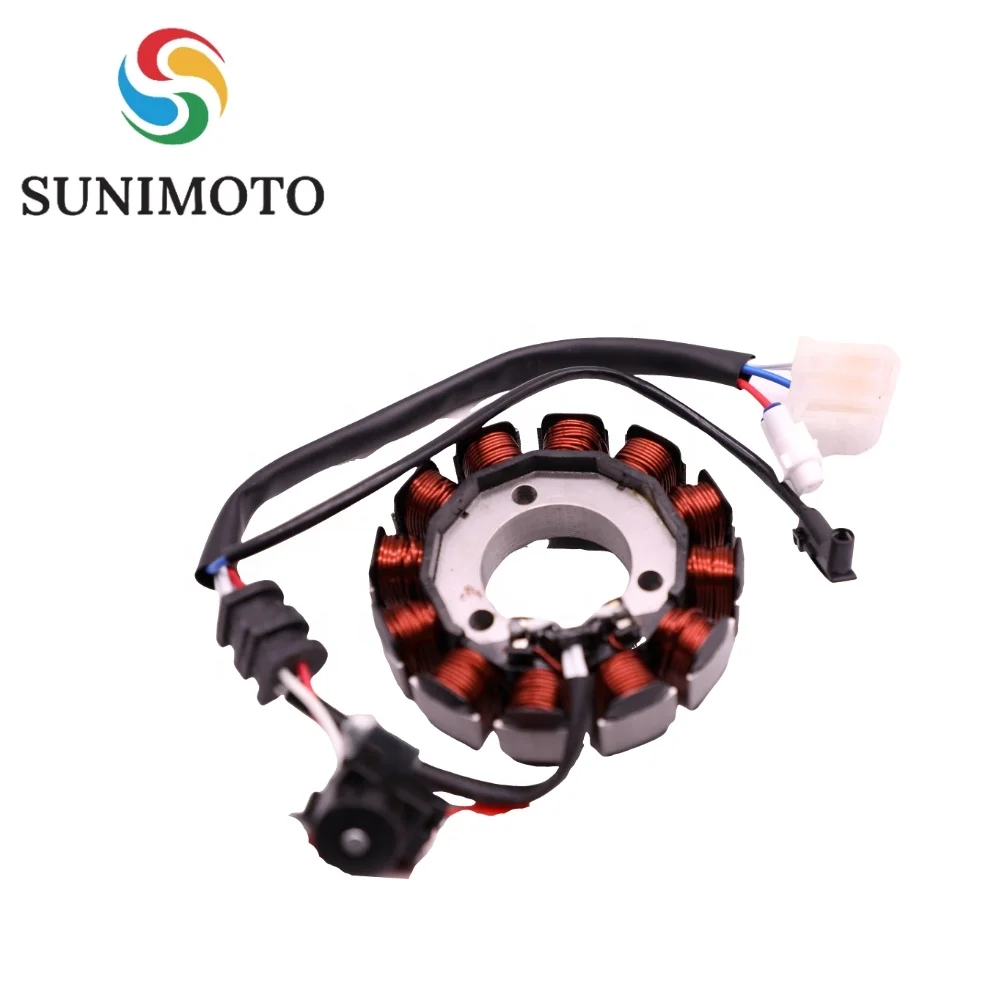 Motorcycle Stator Coil Magneto Engine Stator Rotor 150cc 12 Coil for ...