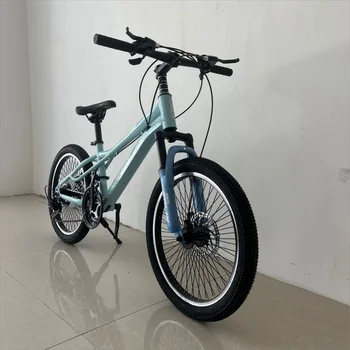 Company Overview - Hebei Xuxiang Bicycle Co., Ltd.