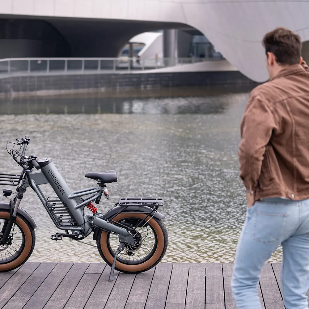 Coswheel M20 Ebike Folding Electric Bike Portable Cheap Electric ...