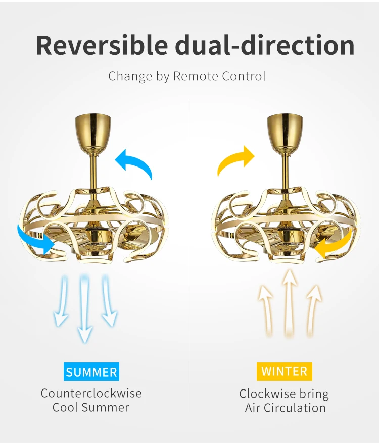 746A Ceiling Fans with Lights - Stylish & Efficient