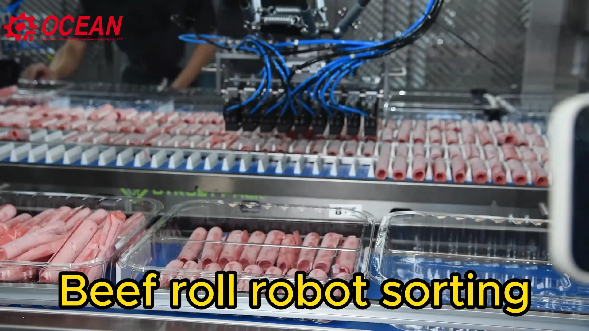 4-axis Delta Robot Beef Parcel Sorting Robot Arm - Buy Robotic Arm For Beef Sorting,Sorting ...