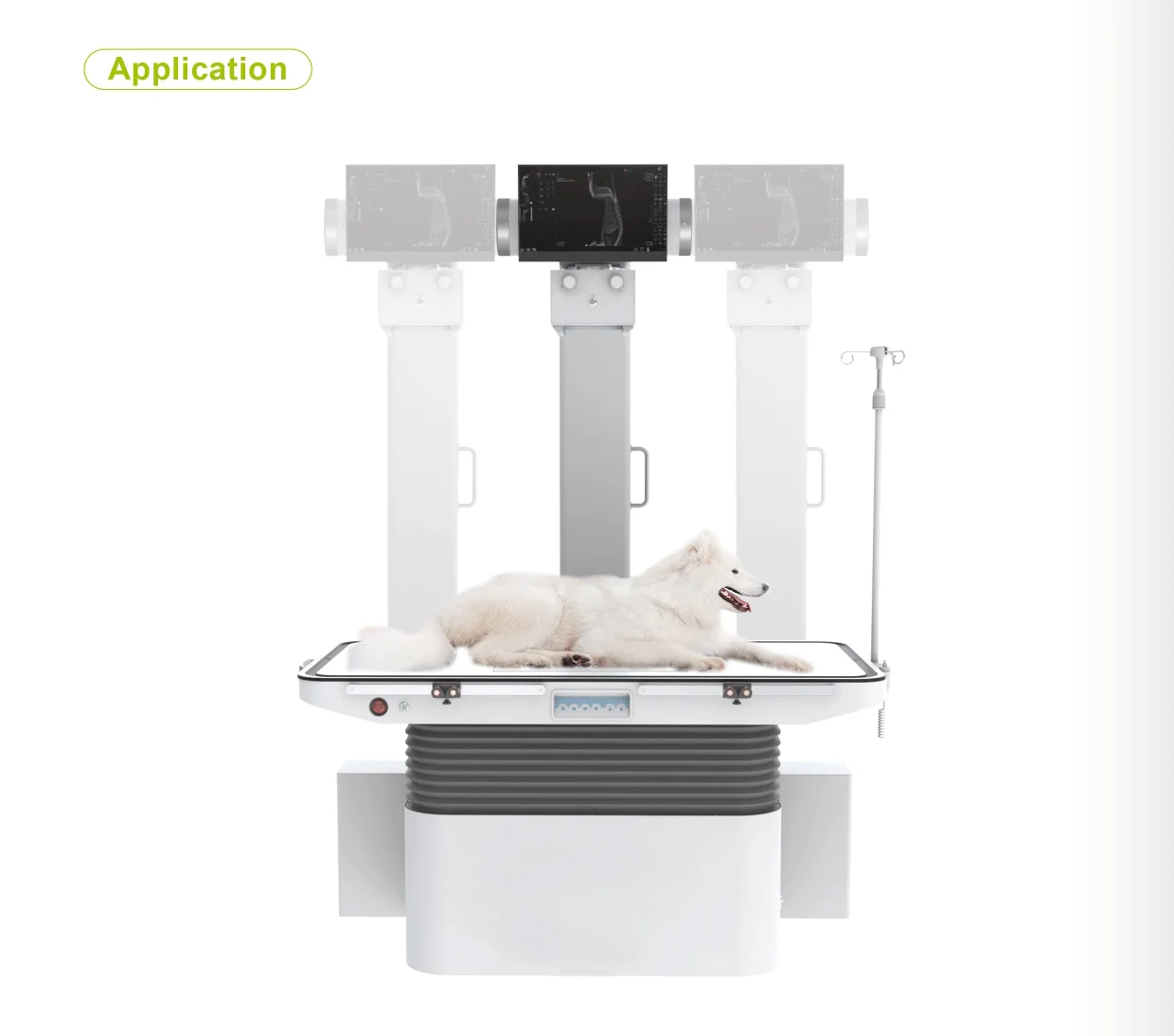 Ysx-drf32v Veterinary X-ray Solution Digital X Ray Veterinary ...