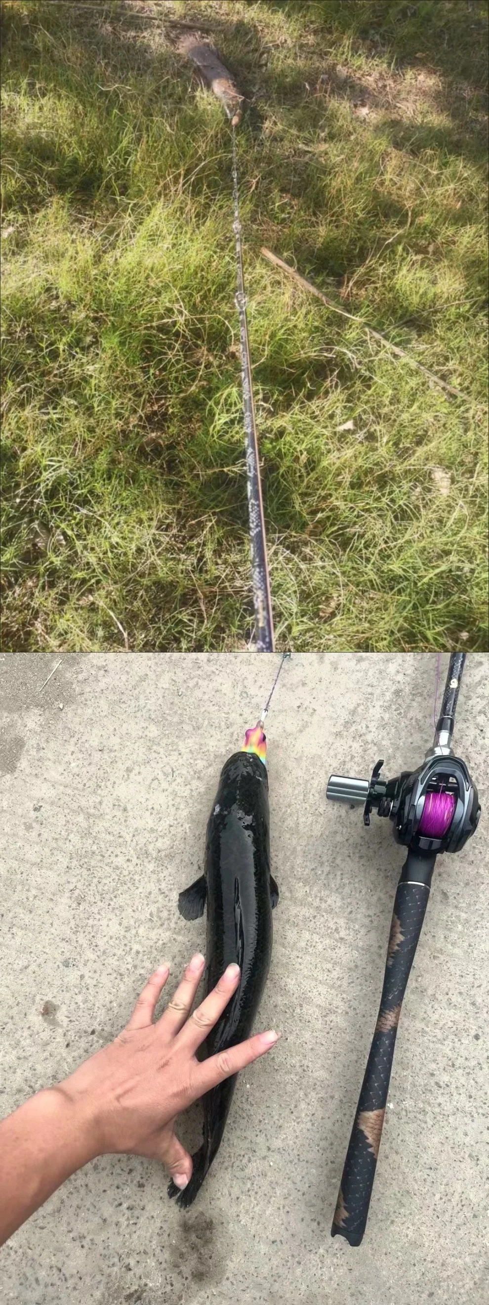 Carbon Fishing Rod Snake Like Pattern Super Hard Leiqiang Fishing Rod 3 ...