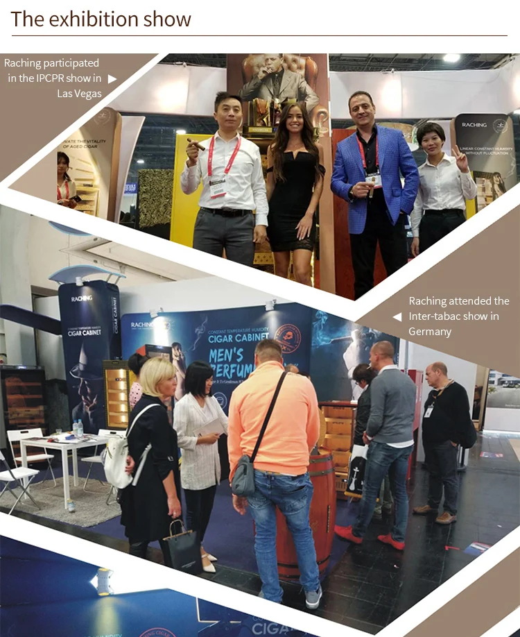 Raching MA50 Cigar Humidor - Intelligent Temperature Control