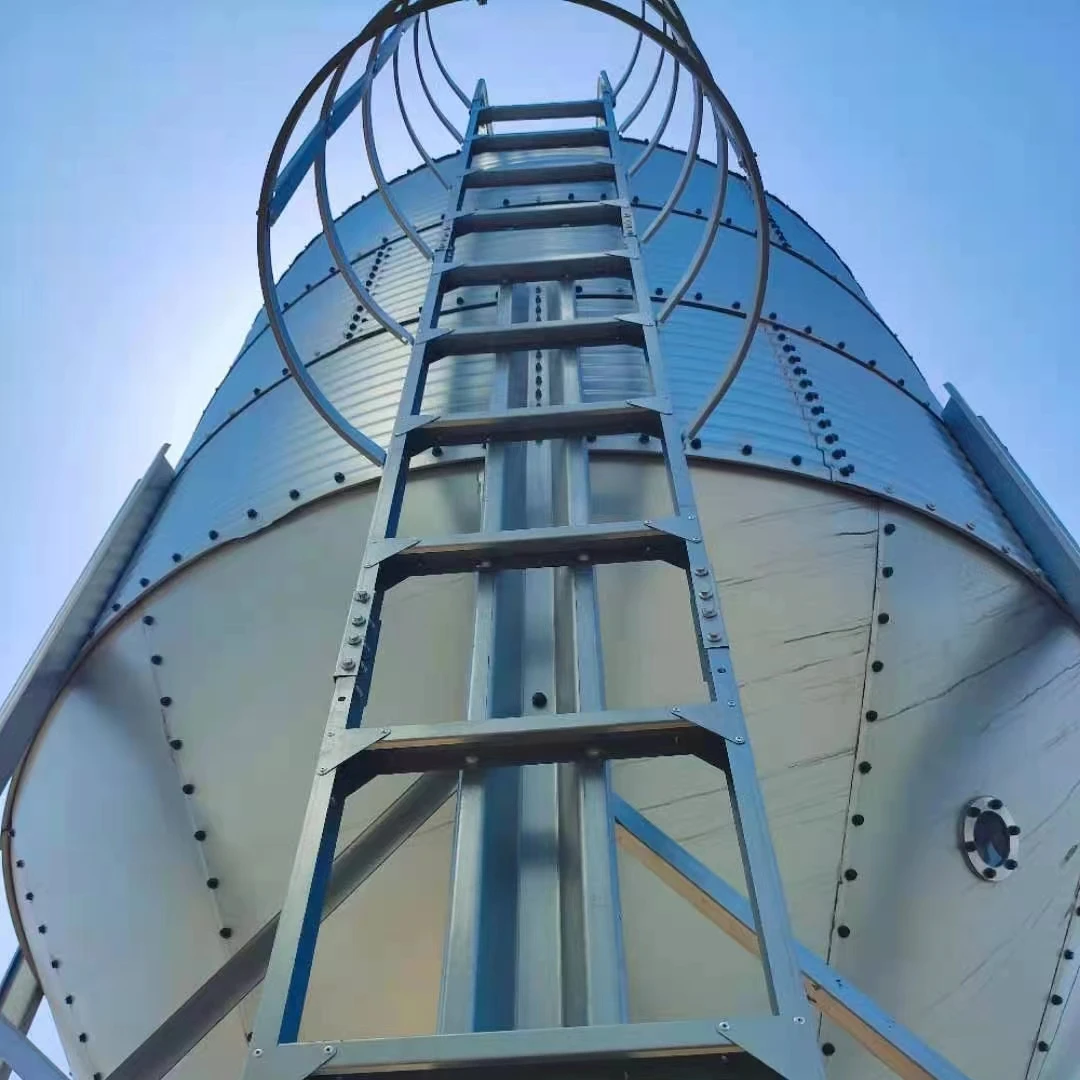 New Chicken Dark Poultry Automatic Feeding System Cement Hopper Feed ...