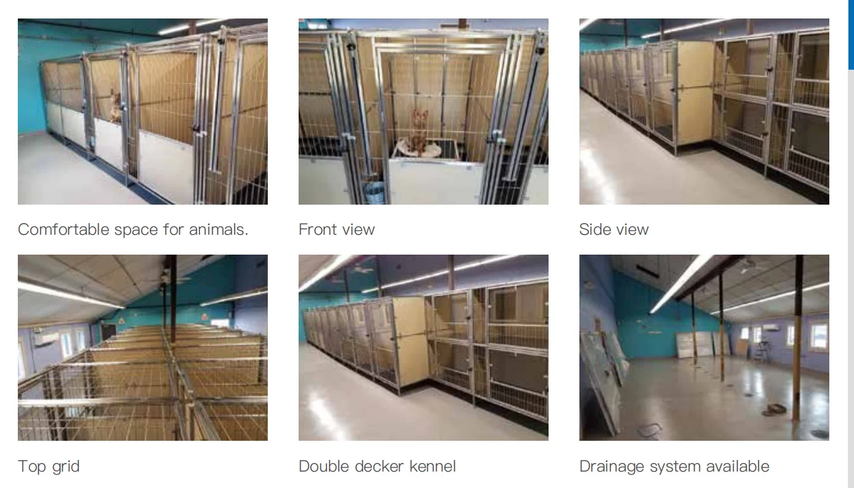 Aeolus Tempered Glass Stainless Steel Pet Boarding Prefab Commercial ...