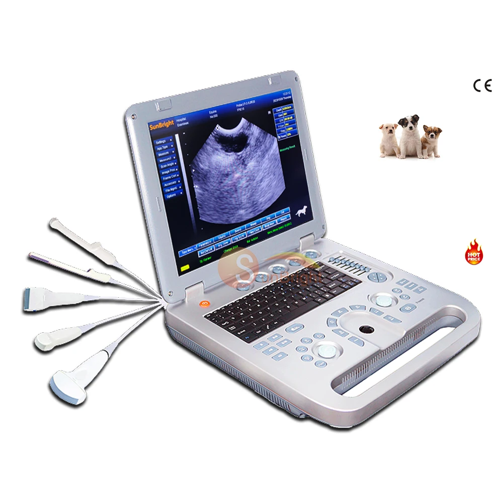Farm Vet Cattle Horse Portable Ultrasound Machine With Rectal Probe For ...