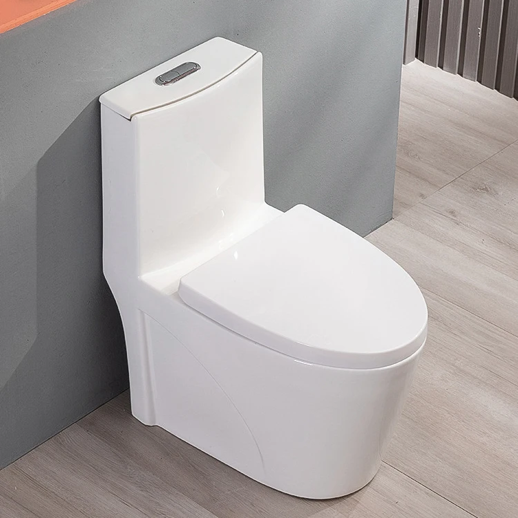 Ceramic Comodes - Dual-Flush Toilets for Modern Bathrooms