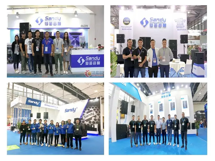 Sandy J10m Professional Powered Audio Line Array Speakers Oem