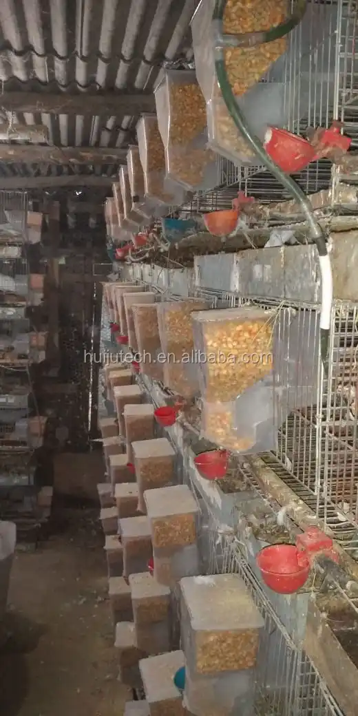 32 Cells Racing Pigeon Equipment - Durable & Customizable