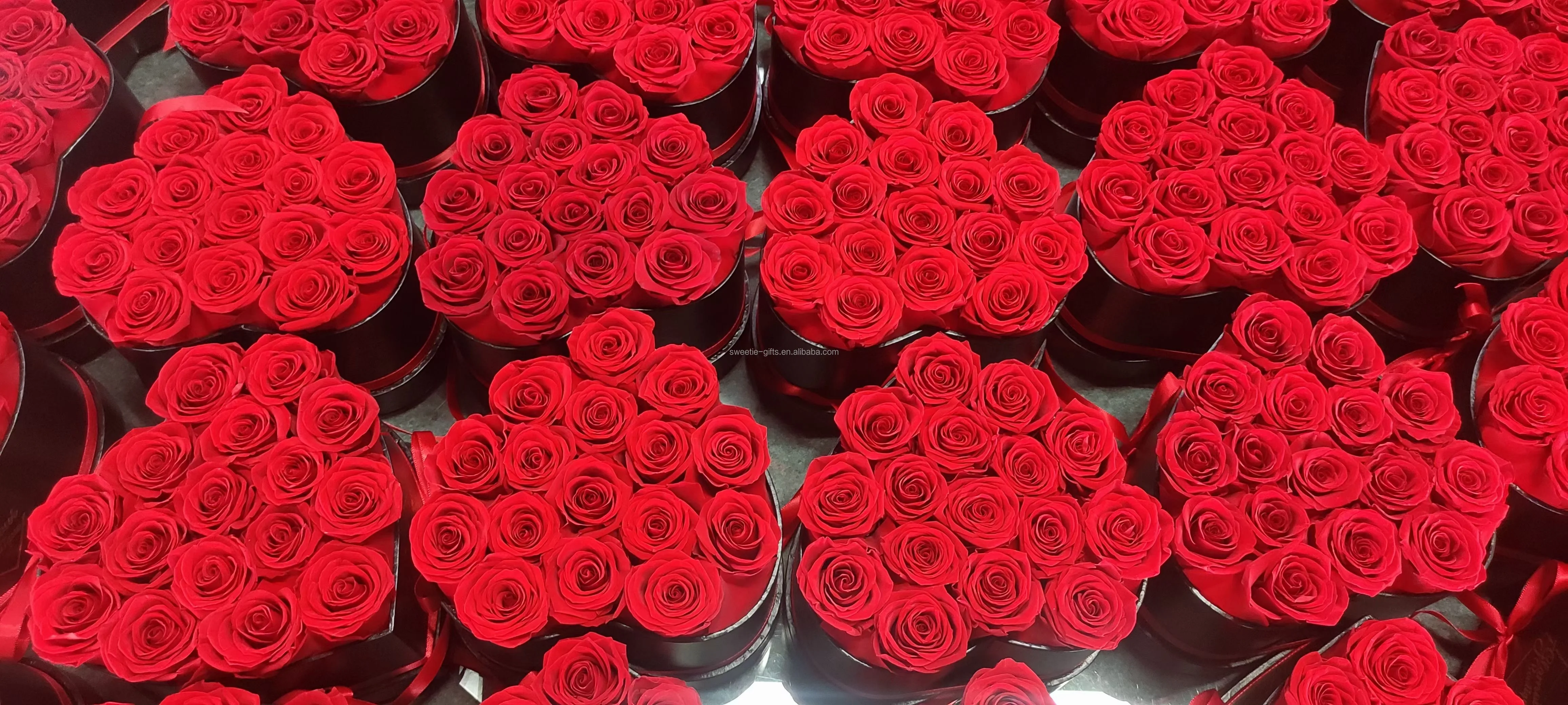 Wholesale Everlasting Rosas Preservadas - Eternal Flowers