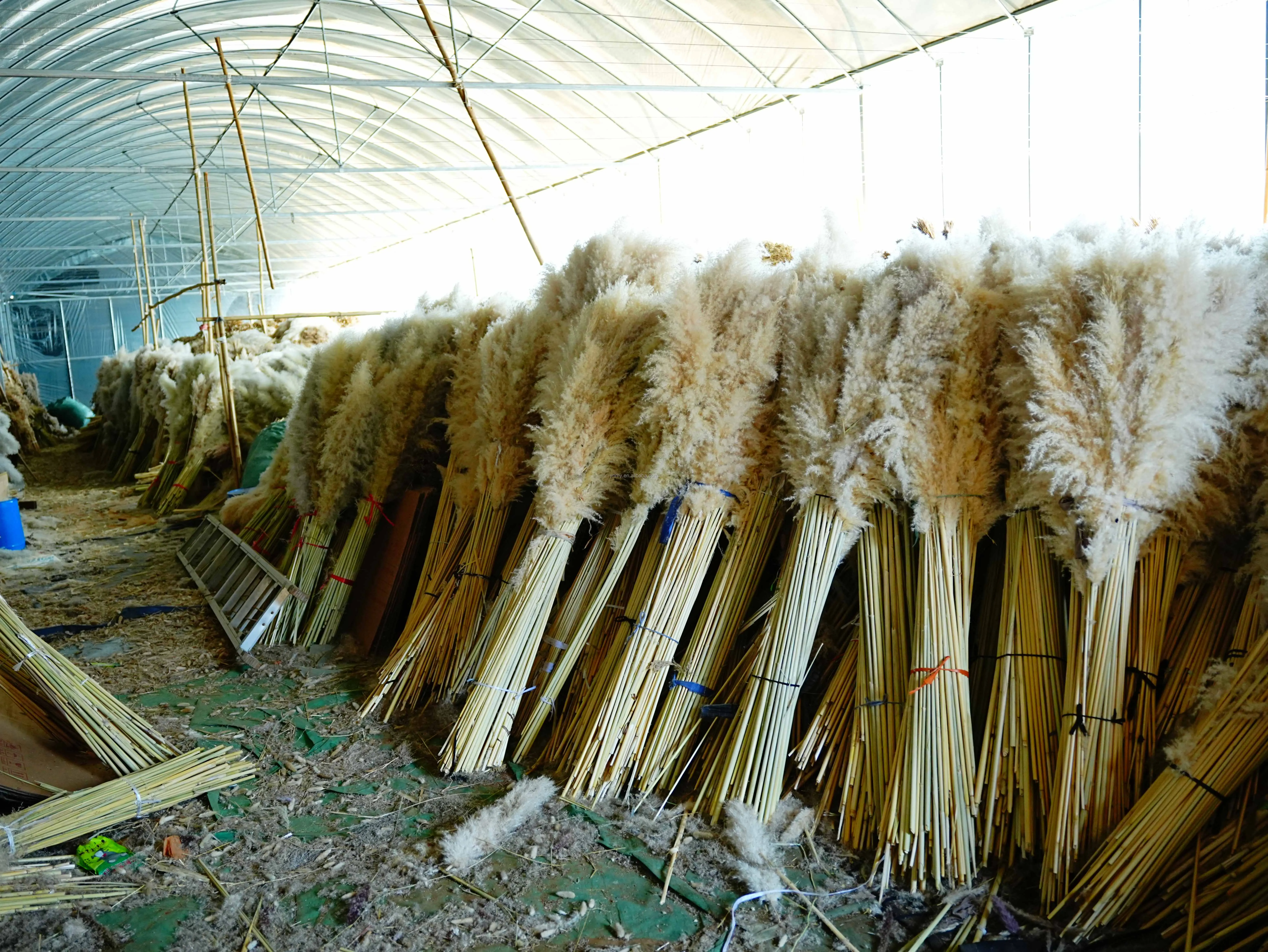 Dried Flower Rattan High-quality Dried Flower Rattan Is Handmade By ...