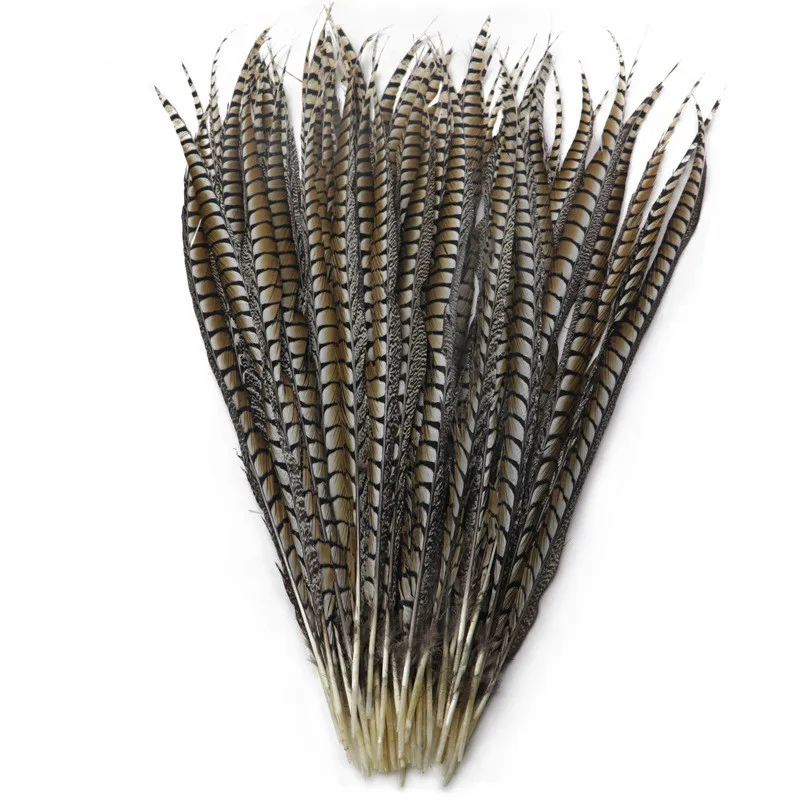 High Quality 110-120 Cm Lady Amherst Pheasant Feathers