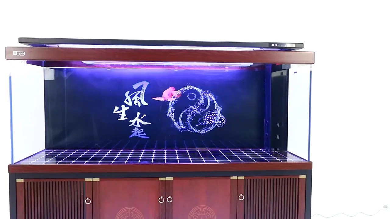 Custom Big Fish Tanks 300 Gallon 200 Gallon Large Aquarium 30 To 100 ...