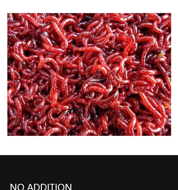 Frozen Red Worms - Premium Bloodworms for Fish Aquariums