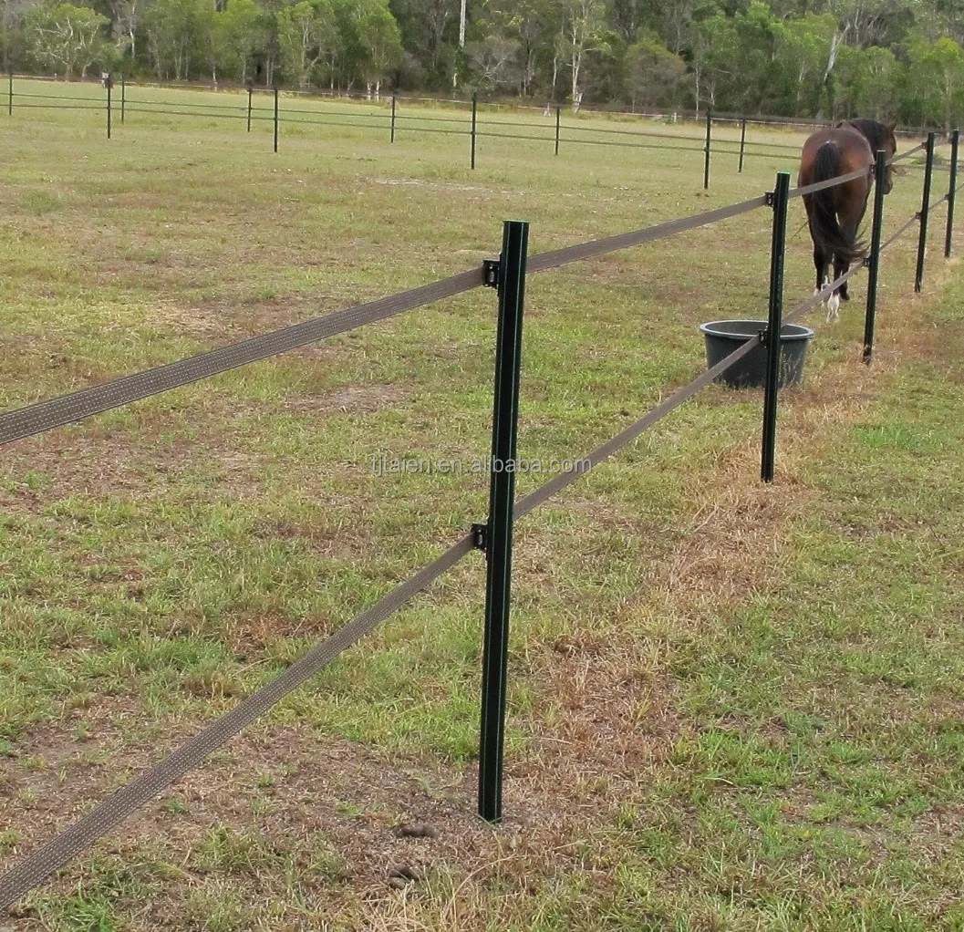 Heavy Duty Star Pickets - Durable Galvanised Fencing Solutions