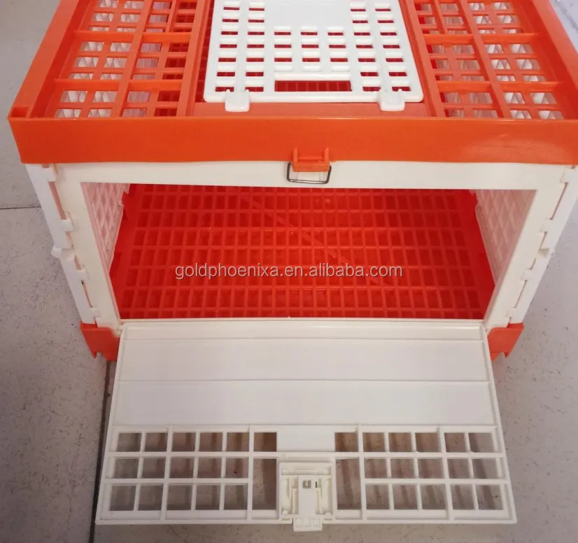 Pigeon Chicken Bird Training Box - Foldable Transport Cage