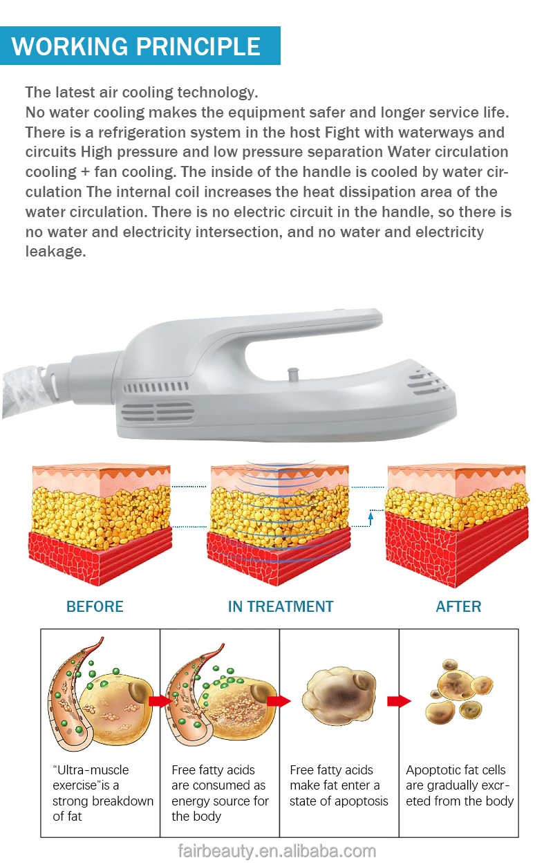 2022 Professional Emslim Nova Rf Body Sculpting Emslim Neo With 5 ...