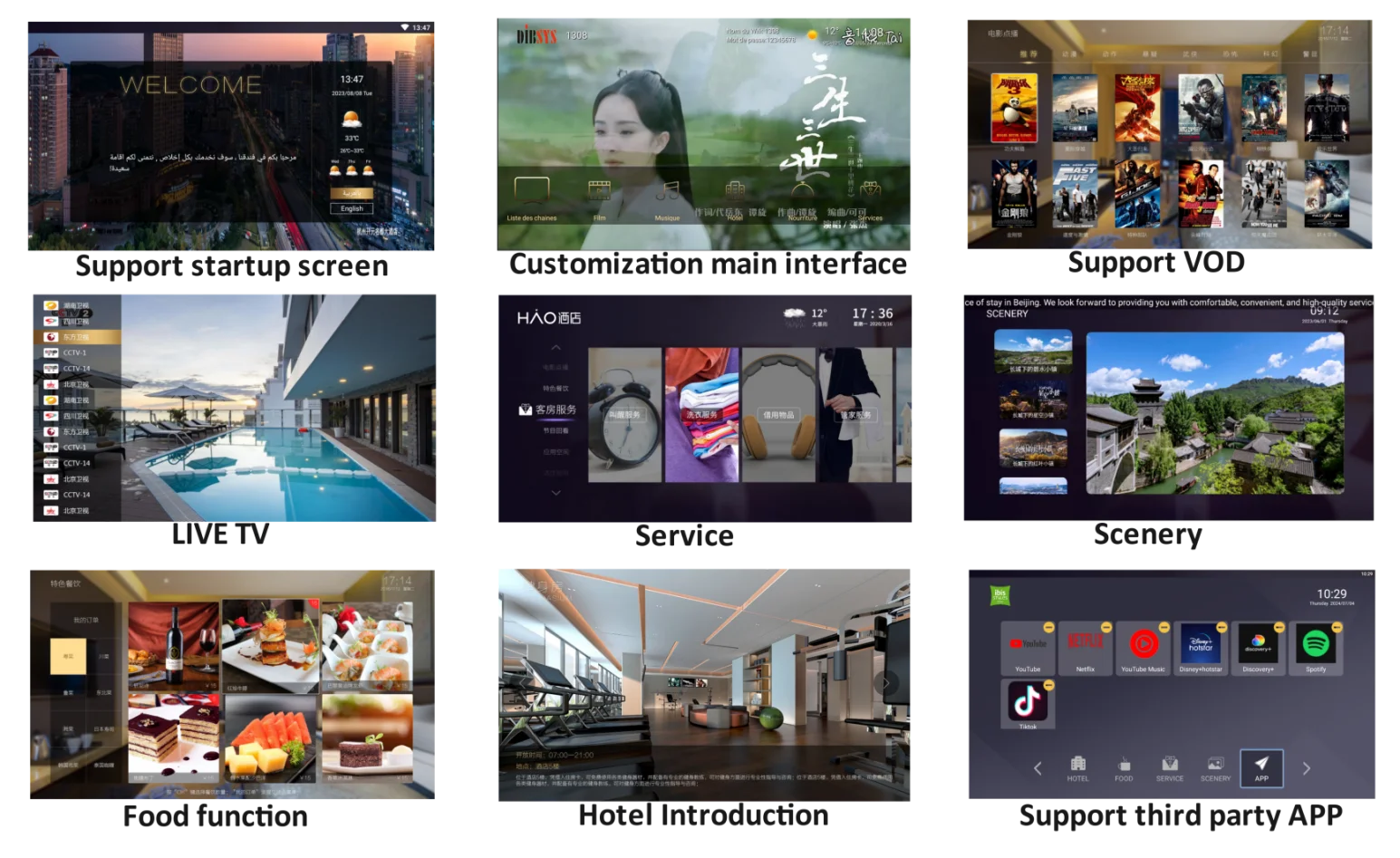 All in ONE DTV IPTV Platform - Reliable IP Anti-jitter