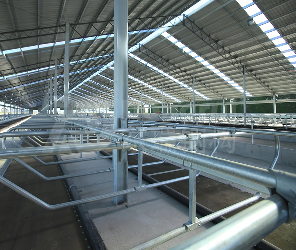 Free Design Prefab Steel Structure Cattle Farm Building