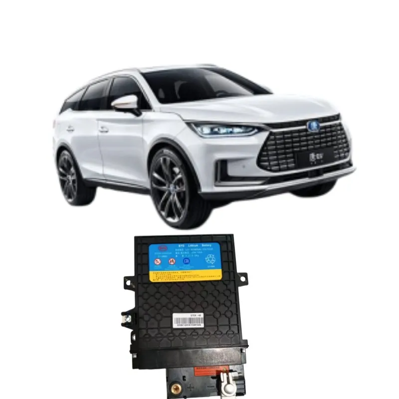 BYD Tang EV Starter Battery - High-Quality Iron Battery