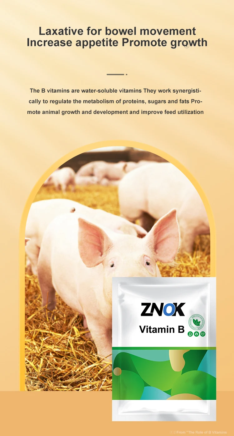 Poultry Bird Vitamin Complex Vitamin B Powder Supplement Vitamin ...