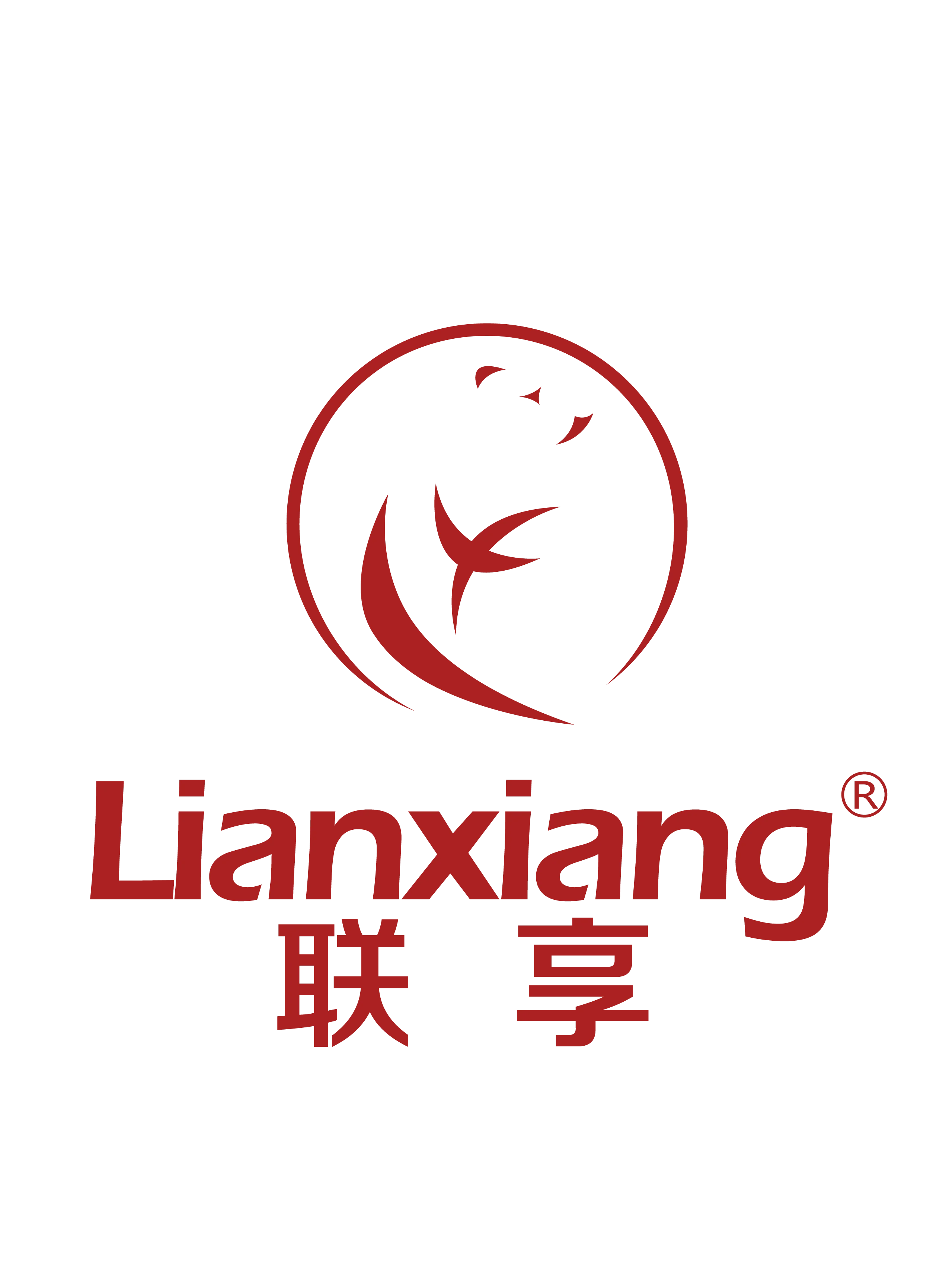 Company Overview - Chuangshi Lianxiang New Material Technology(shandong ...