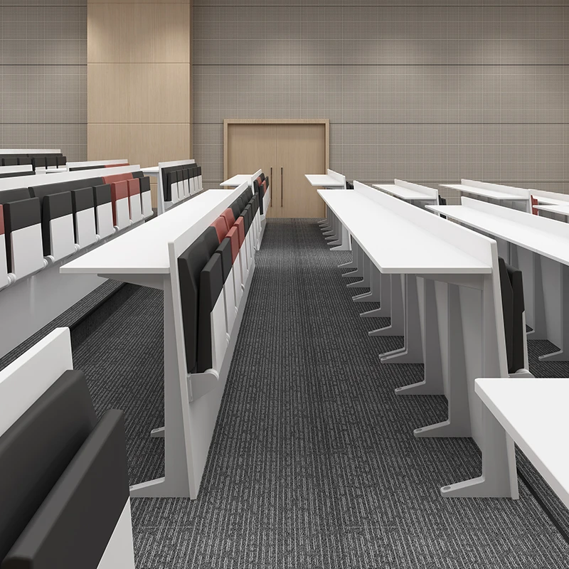 Modern College University Lecture Hall Auditorium Chairs