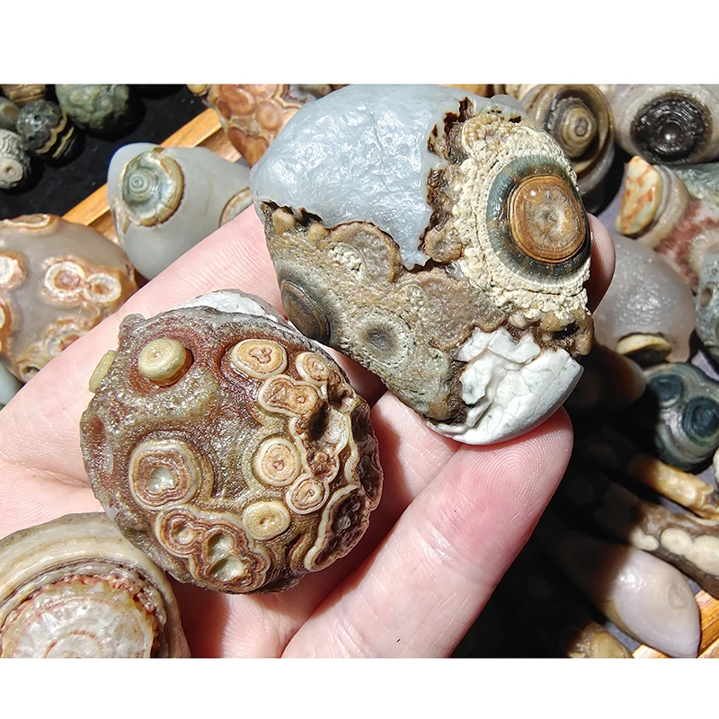 Wholesale Gobi Agate Eye Gemstones - Natural Healing Stones