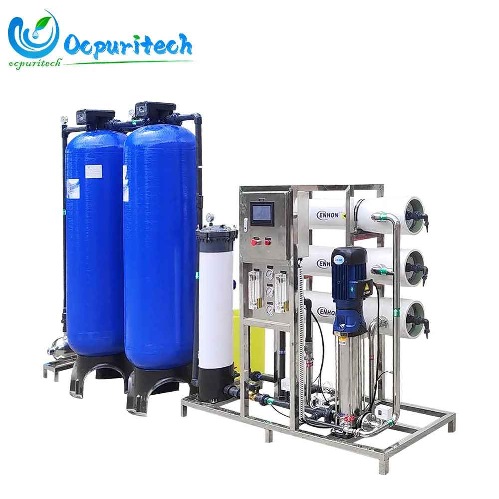 3000LPD Water Desalination Systems Price Process Cost Saw Water to ...