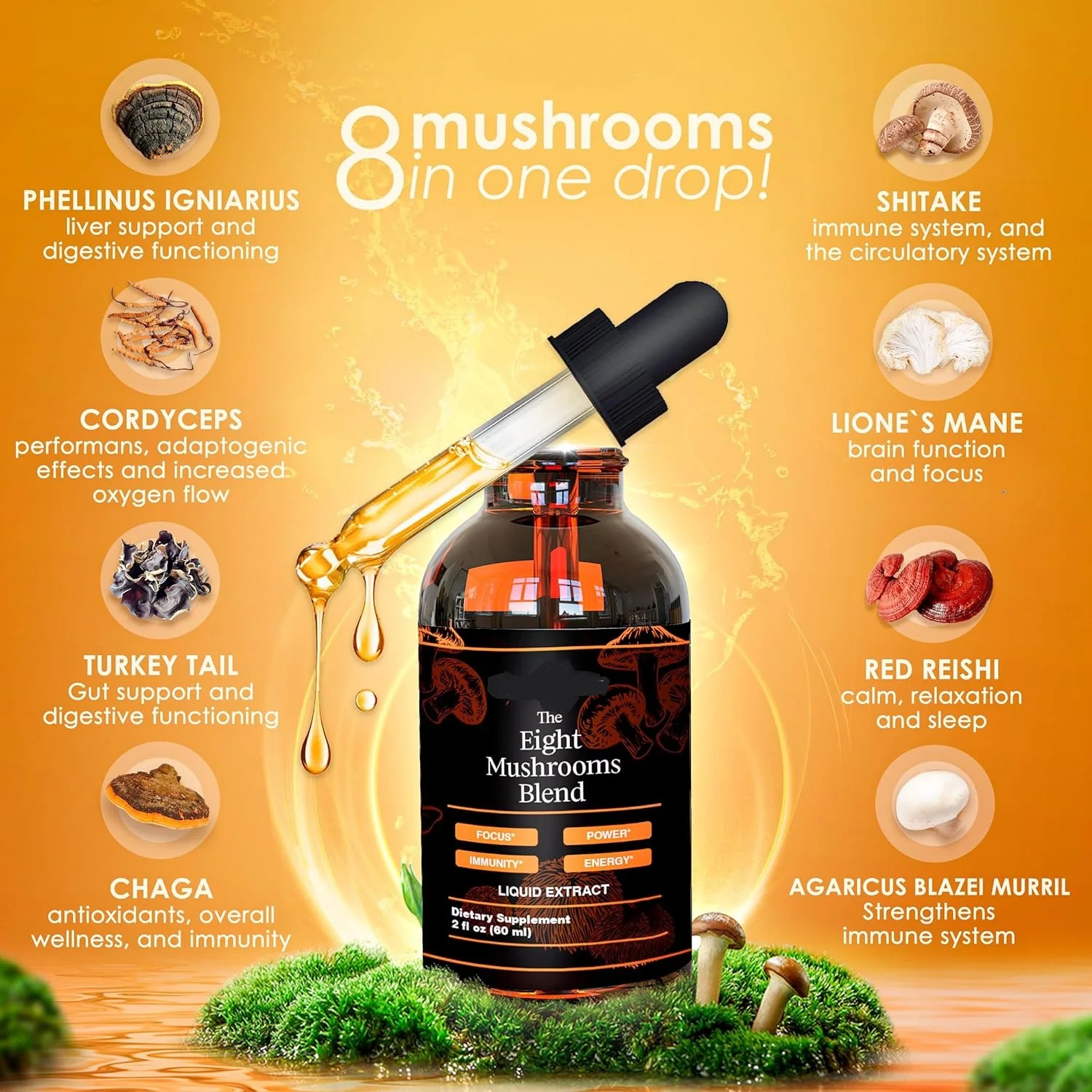 Oem Lions Mane Reishi Mushroom Complex Extract Liquid Drops Cordyceps ...