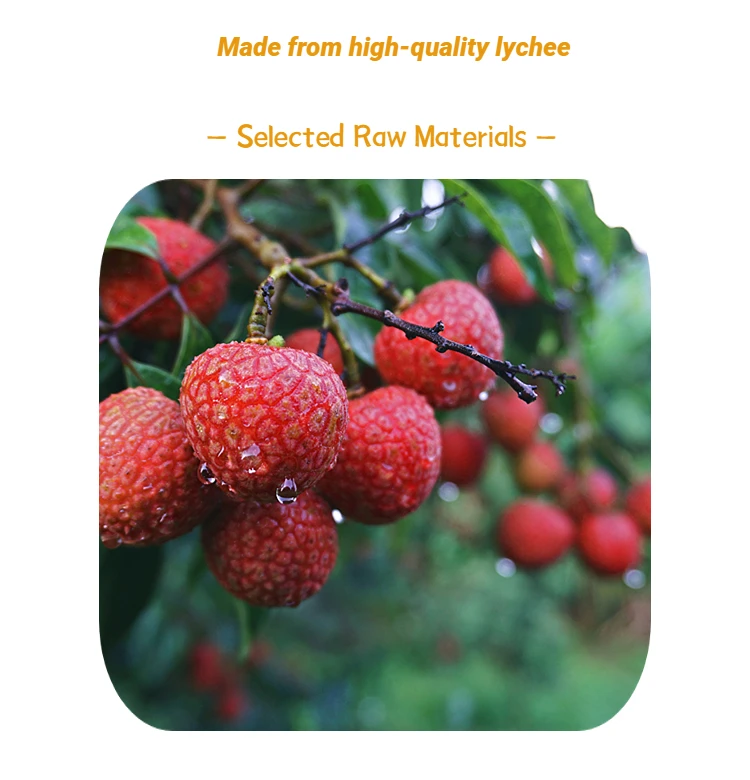 Freeze Dried Litchi FD Litchi Dried Lychee Wholesale Freeze-dried ...