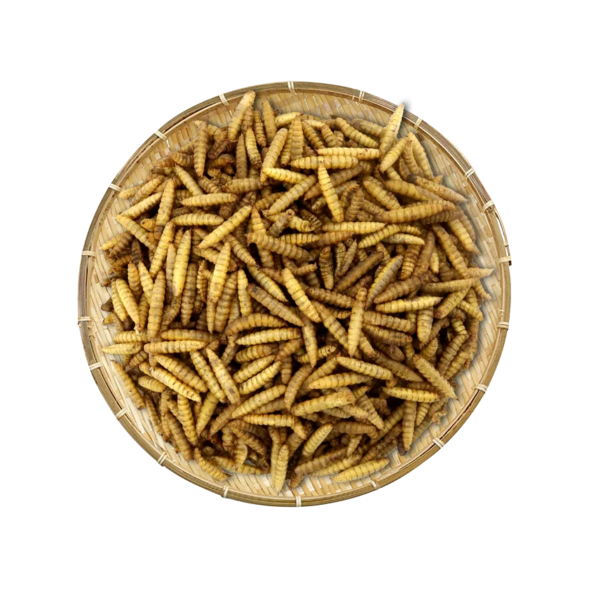 말린 검은 군인 파리 유충 Bsf 건조 구더기 Bsfl 동물 사료 첨가제 - Buy Insect Protein,Dried ...