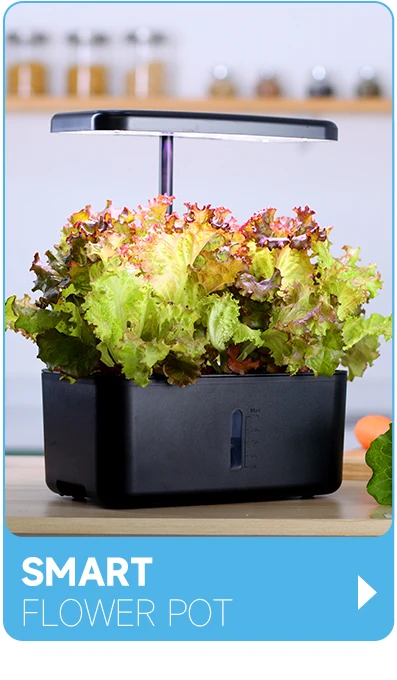 Shenzhen Kenong Gardening Technology Co., Ltd. - Lazy Flower Pot, Smart flowerpot