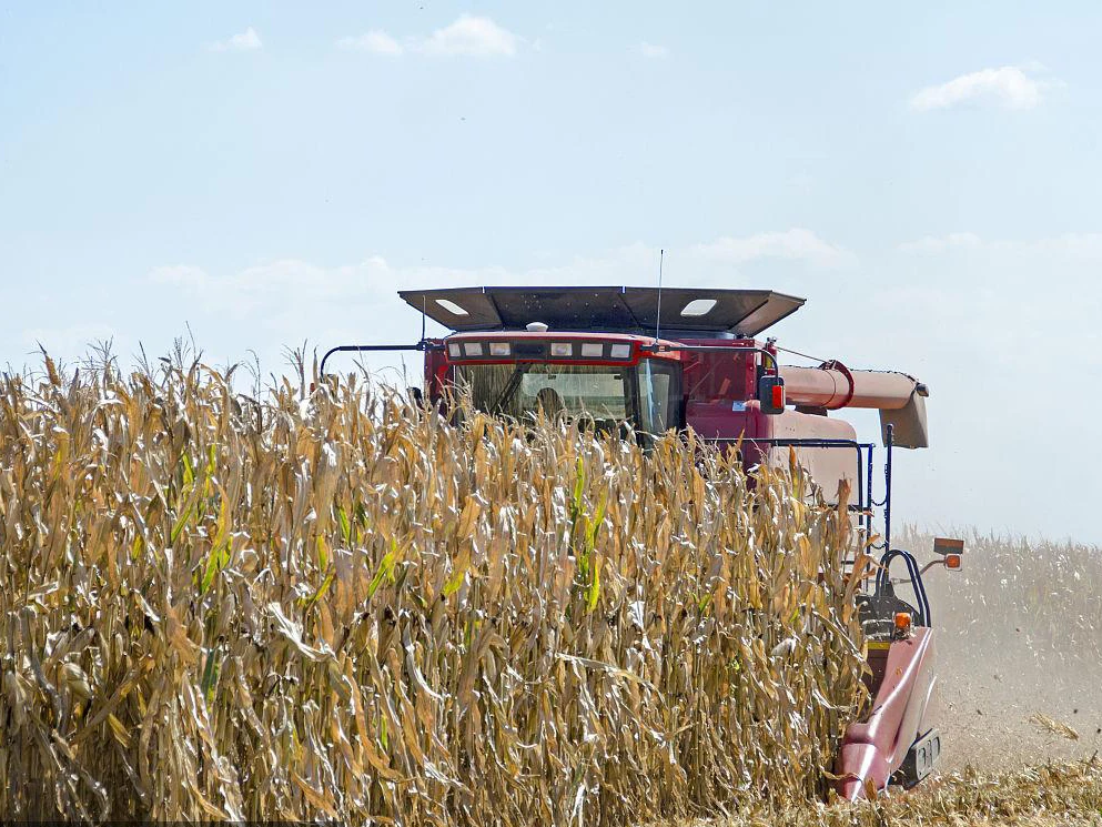 Rice Wheat Harvester 85hp Diesel Crawler Combine Harvester Aw85g Self ...