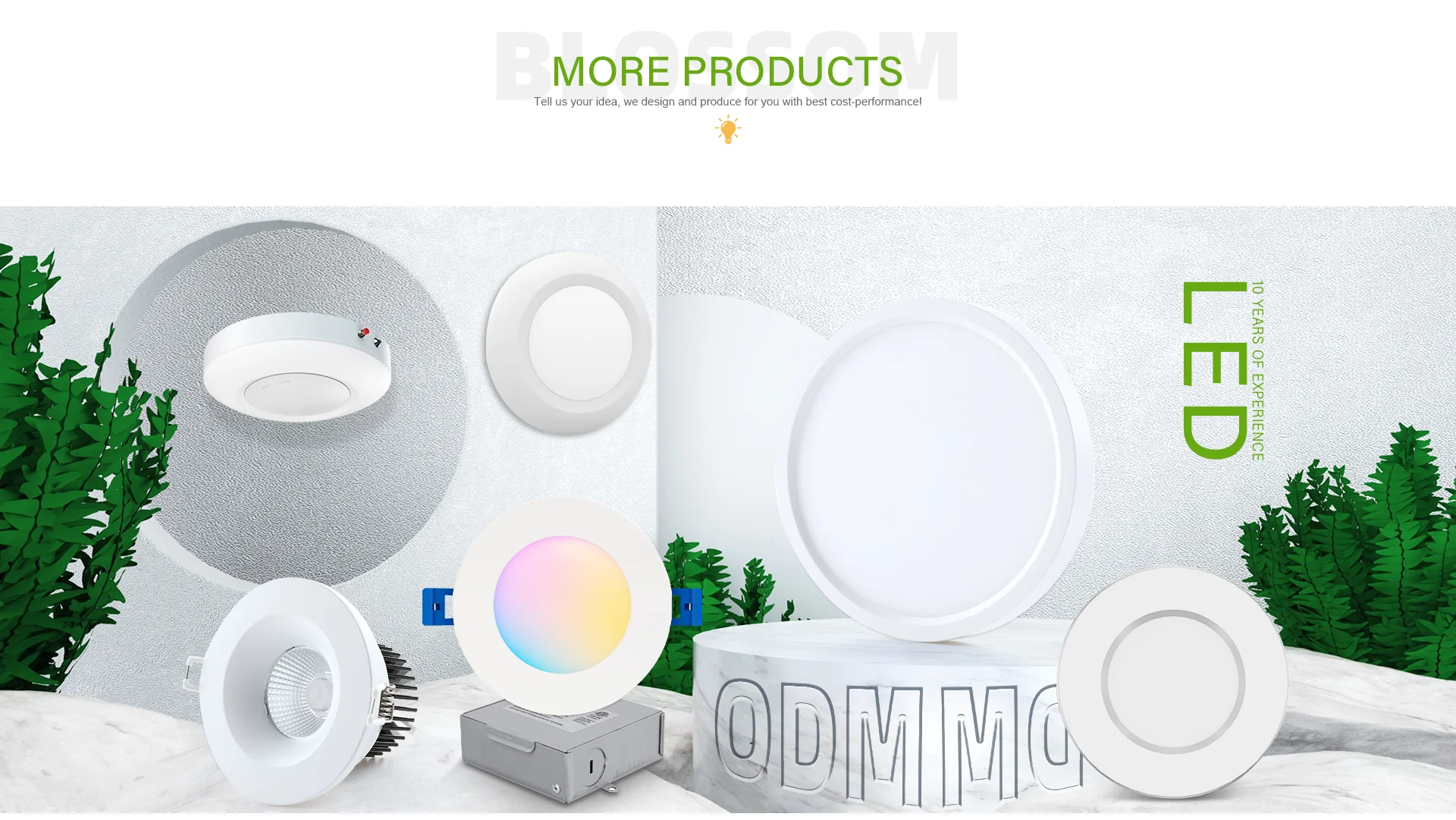 Company Overview - SHENZHEN BLOSSOM LIGHTING CO., LIMITED