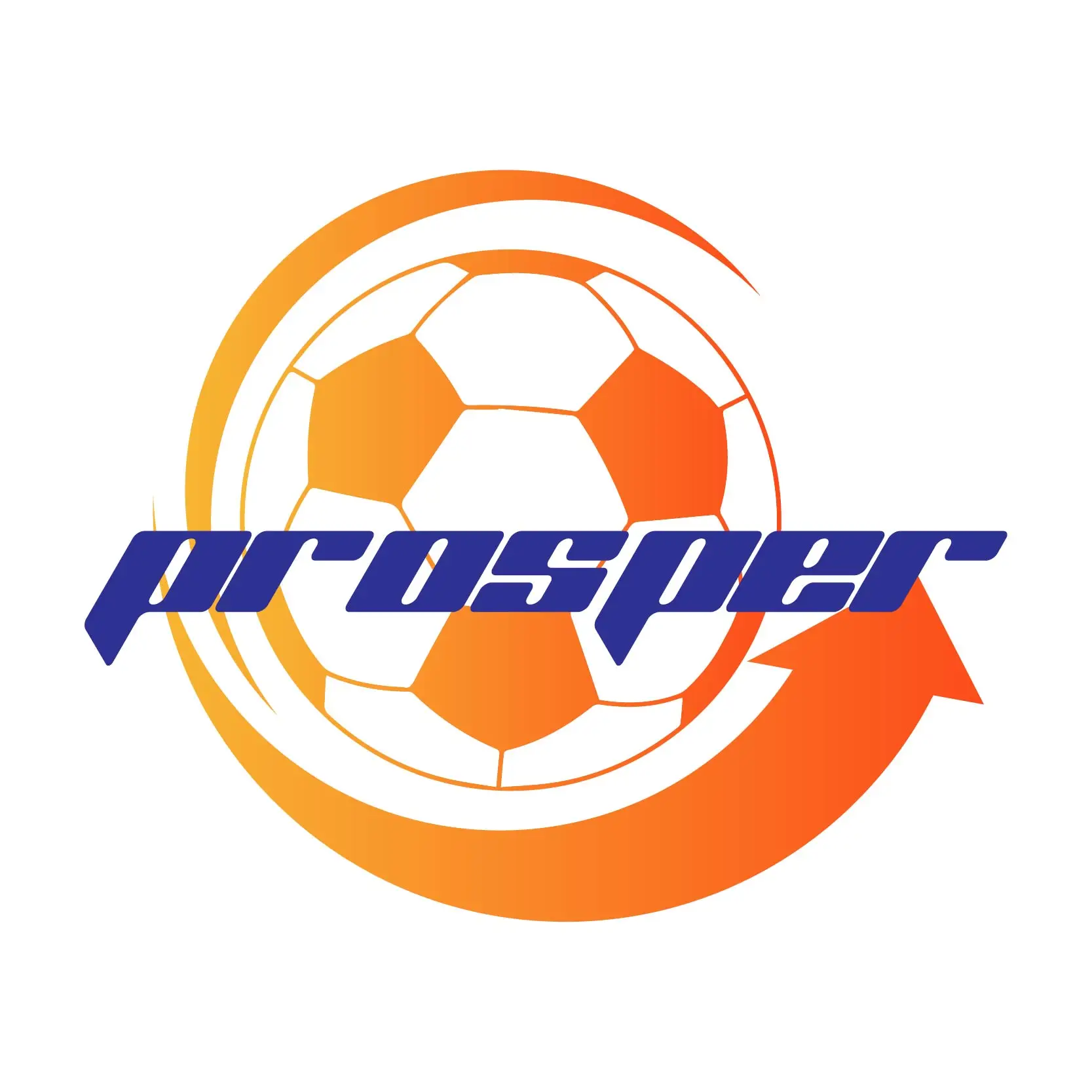 Company Overview - Prosper (guangxi) Import And Export Co., Ltd.