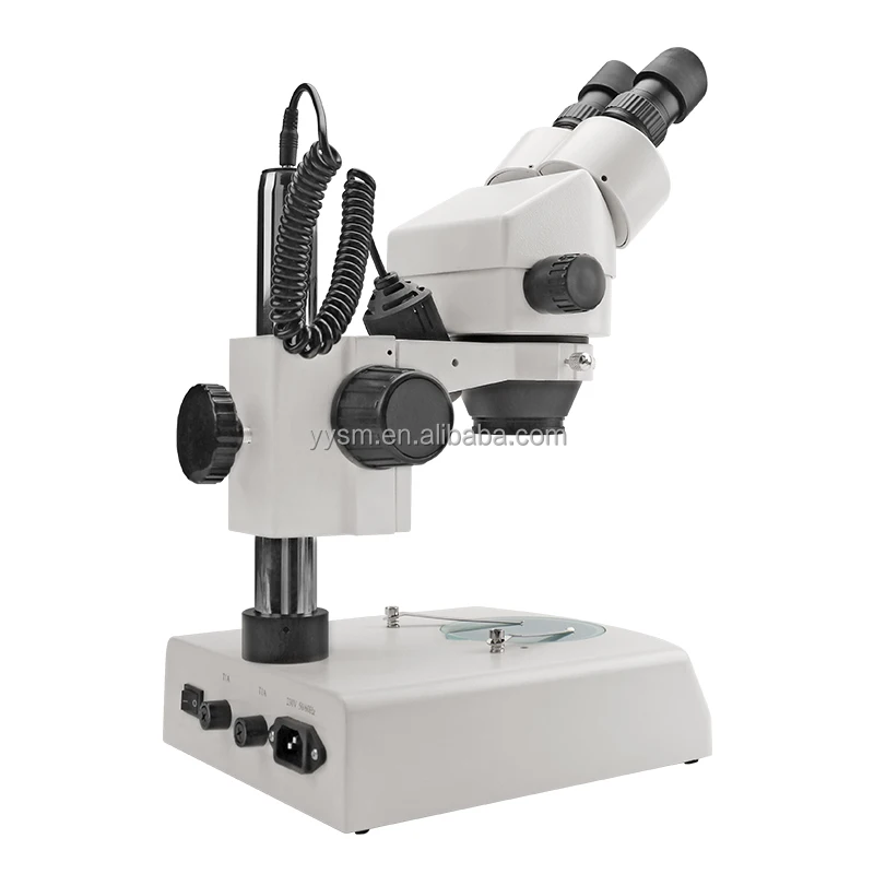 Stereo Zoom Microscope - Binocular for Students & Lab Use