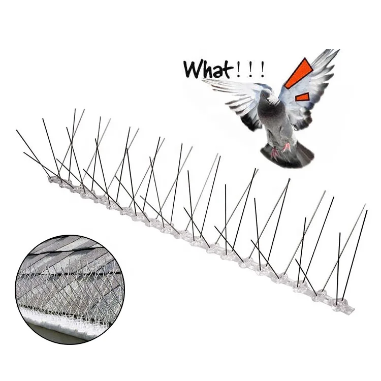 High Quality Stainless Steel Fence Transparent Bird Spikes Anti ...