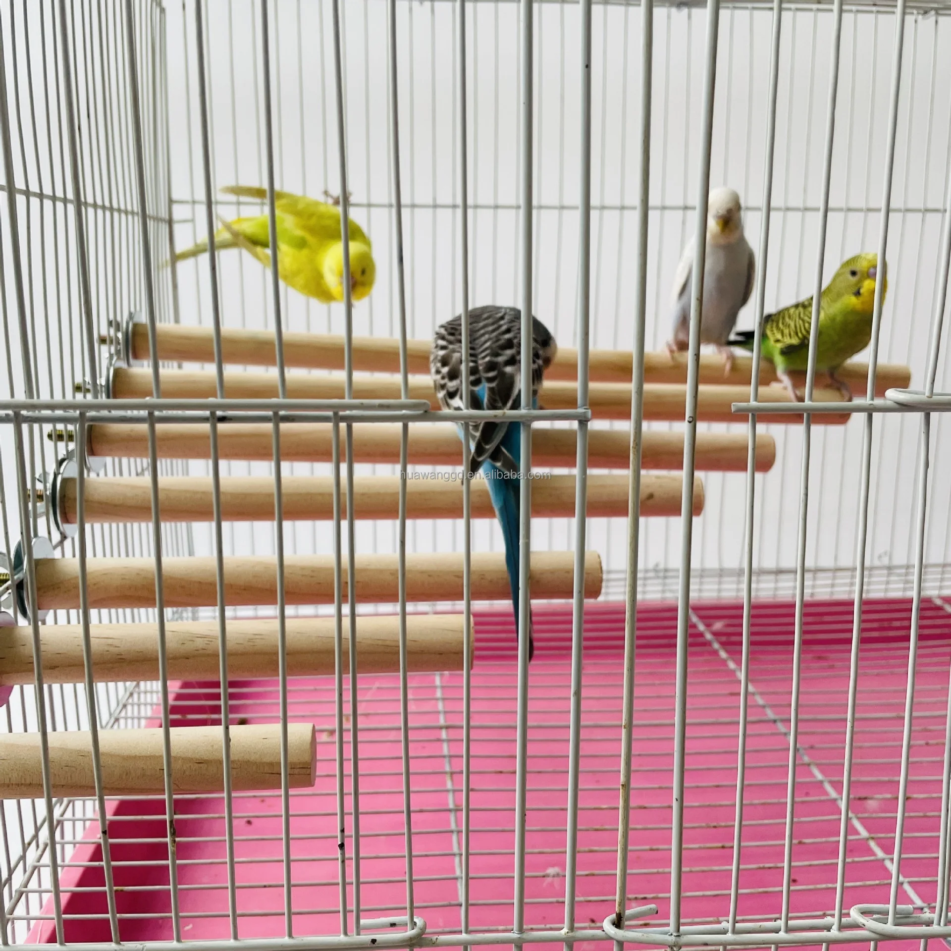 Wholesale Natural Java Wood Parrot Bird Perch Tree Stand