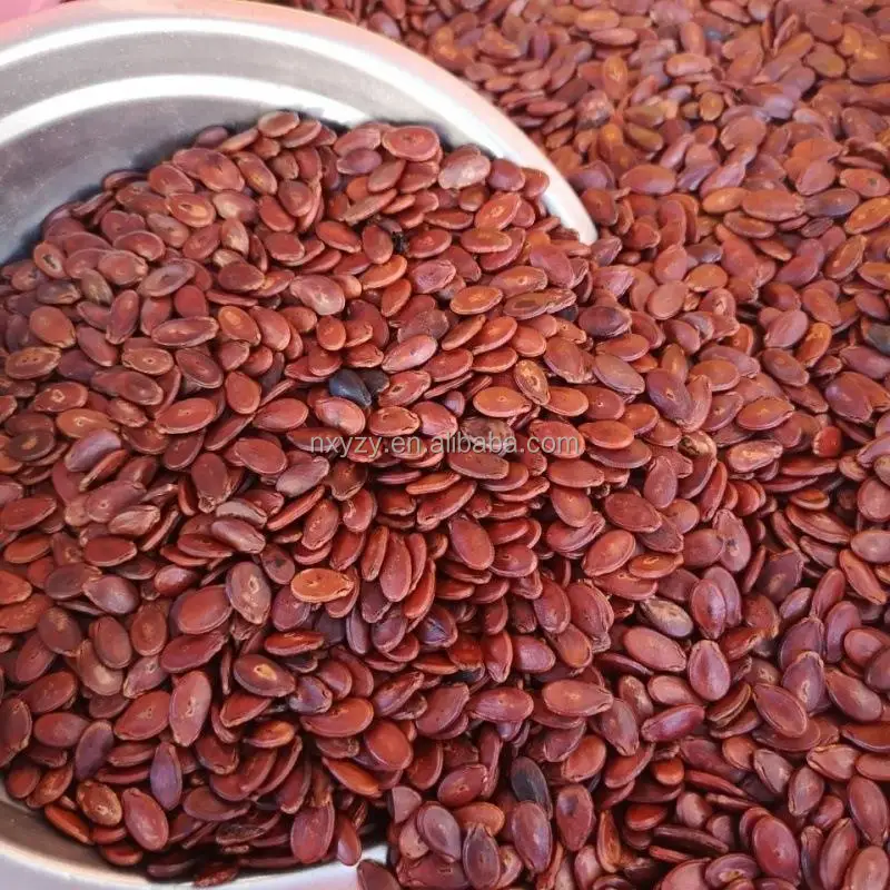 Hot Selling Inner Mongolian Red Color Watermelon Seeds Melon Seeds ...