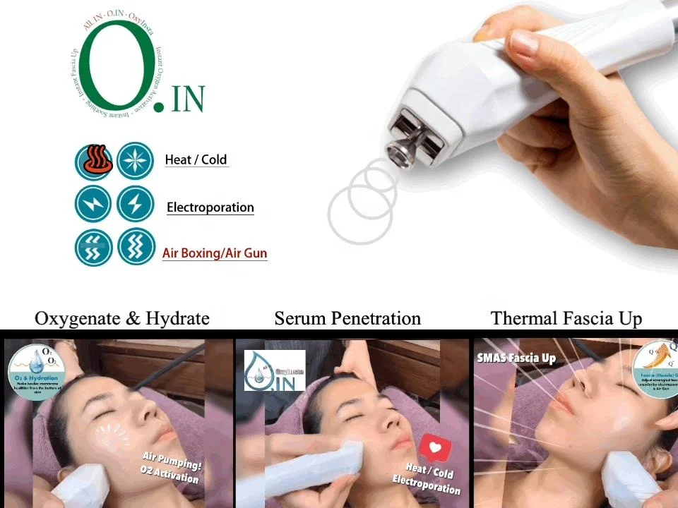2024 Non Invasive Cryo Mesotherapy+air Gun/air Boxing Oxygenated Hydration Mesotherapy Injector ...